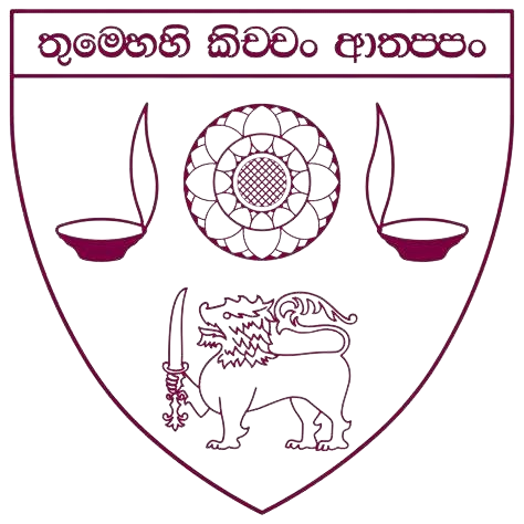 Selani Didulani- Portfolio